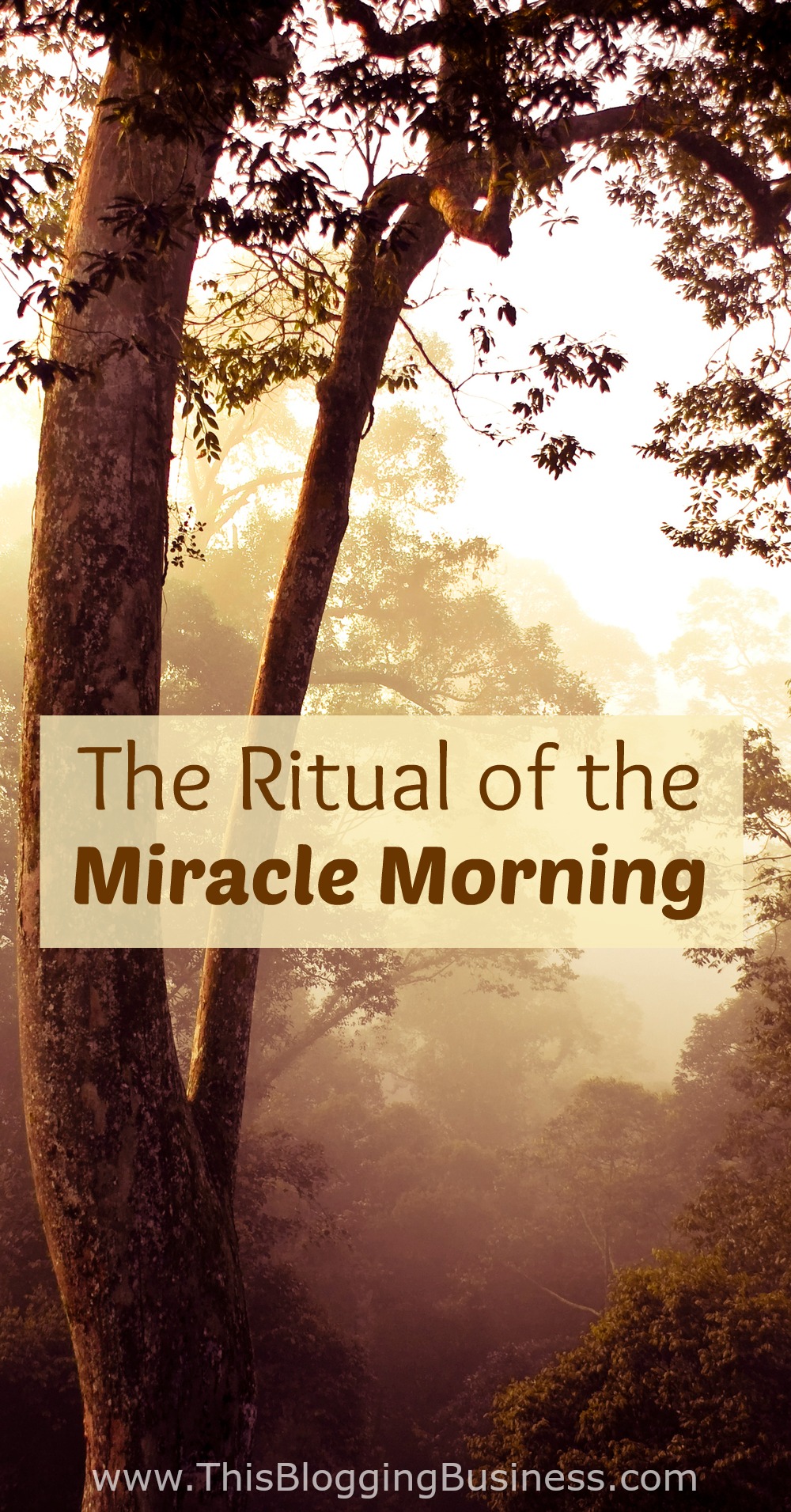The Ritual of the Miracle Morning - This Blogging Business