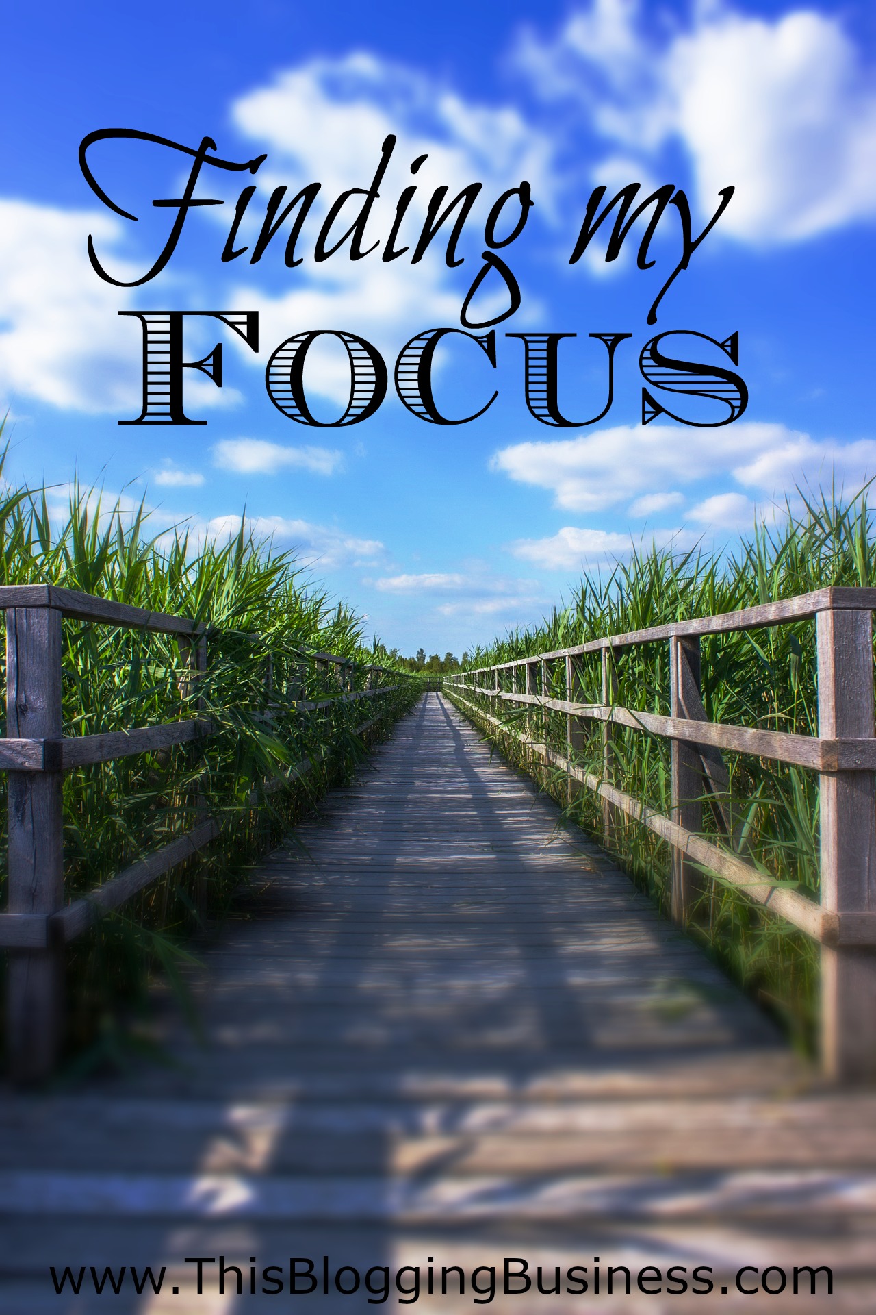 Finding My Focus - This Blogging Business