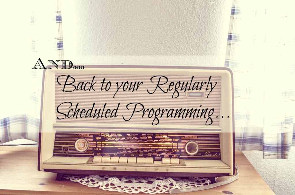 And... back to your regularly scheduled programming... - This Blogging ...