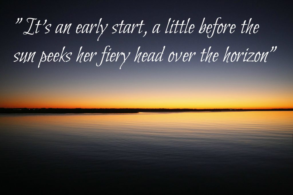 My Perfect Day - Creating a Vision for the Future - This Blogging Business